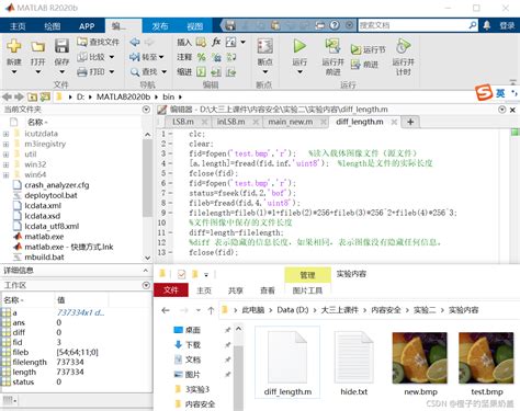 Matlab实现基于24位真彩色bmp图像的文件信息隐藏方法（实验内容）24bit 真彩色bmp图像 Csdn博客