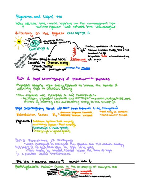 Week 1 Lab Bio 161 Lab 1 Professor Neal BIO 161 Studocu