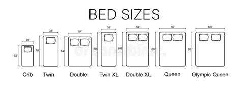 Bed Sizes And Mattress Dimensions Pictograms Depict Icons Of Bed