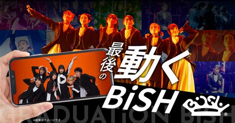 Bish Nft Coin News