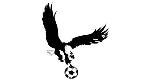 Normanhurst Eagles Football Club