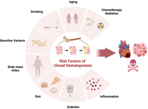 Figure 1 From Regulators Of Clonal Hematopoiesis And Physiological Consequences Of This
