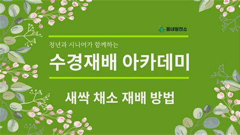 수경재배 아카데미 강의 2강 새싹 채소 재배 방법 Youtube