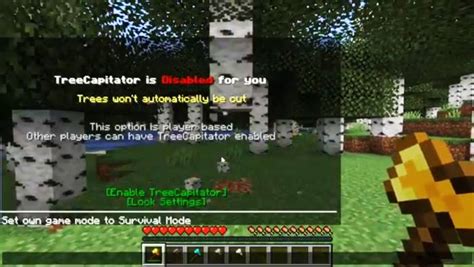 TreeCapitator DataPack 1 21 6 1 20 5 Cut Trees In One Hit