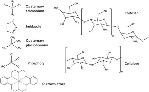 Functional Groups And Chitosan Cs And Cellulose Backbones Download Scientific Diagram