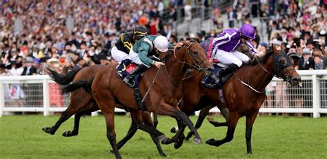 Royal Ascot Betting Promotions 2023 Tips And Predictions