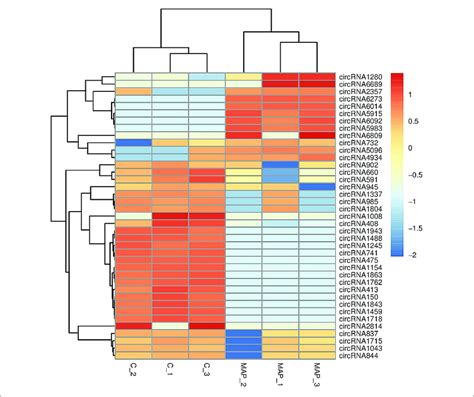 Cluster Analysis Of Differentially Expressed Circrna The Abscissa Is