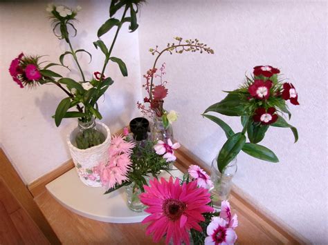 庭に咲いている花を飾りました気分も少しいい感じに 家庭菜園好き ときどき脱線クワガタインコも好き 楽天ブログ