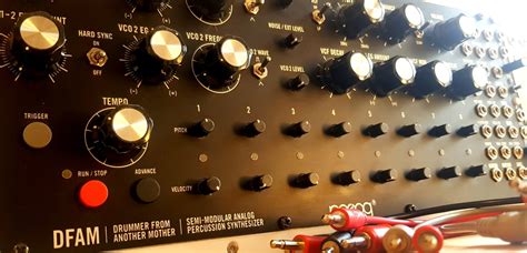 Patches And Sounds Moog Dfam Synthesizer Amazona De