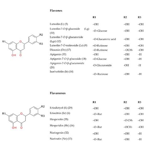 Caffeic Acid Derivatives Download Scientific Diagram