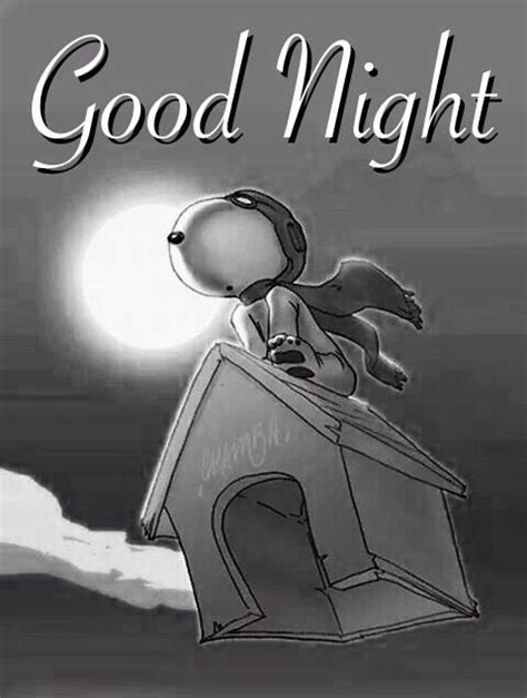 Pin By CyberHutt West On Snoopy Good Night Snoopy Funny Goodnight Snoopy Snoopy Pictures