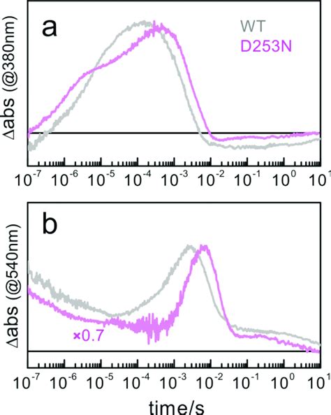 Fig S7 Transient Absorbance Changes In The UV Vis After Pulsed