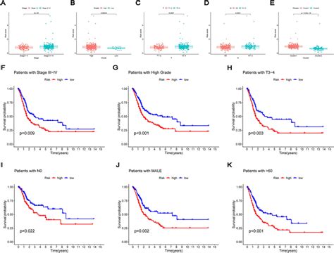 Correlation Of Risk Signature With Clinicopathological Parameters Risk