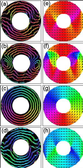 ͑ Color Online ͒ Magnetic Induction Maps Of Co Nanoring Obtained From