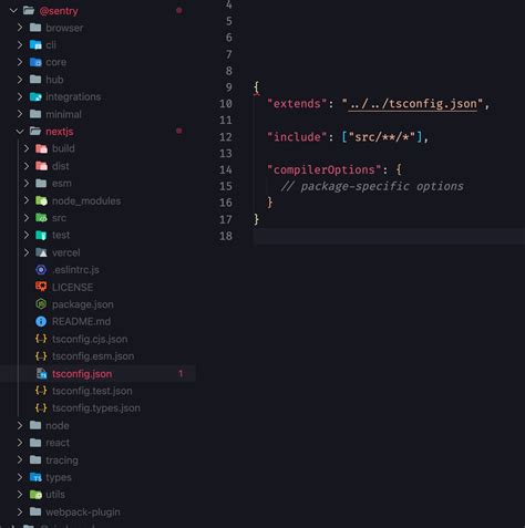 Unable To Build Project Due To Typescript Error Dsn Does Not Exist In