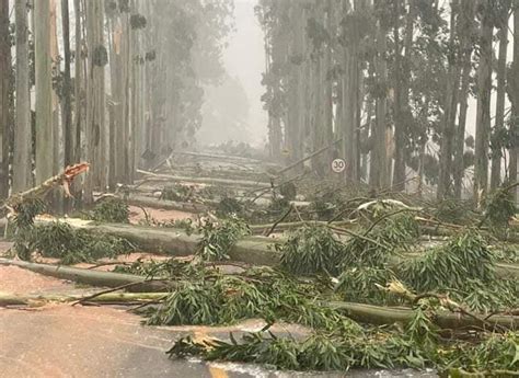 Possível Tornado Atinge Cidade De Santa Catarina Rede Web Tv