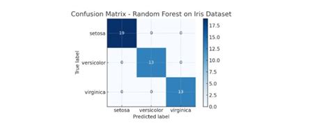 Master The Random Forest Algorithm With Examples Prompt Ai Tools