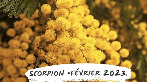 Scorpion~février 2023~À Deux Vitesses Youtube