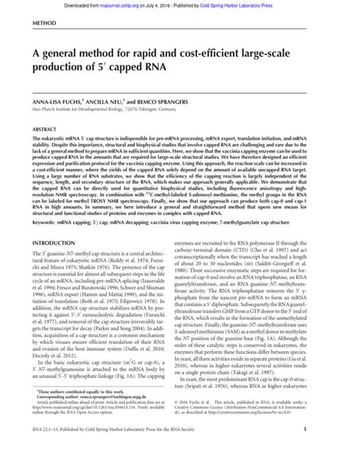 Large Scale Production Of 5 Capped Rna Fuchs2016 Pdf Rna