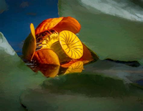 Andy Royce On Behance