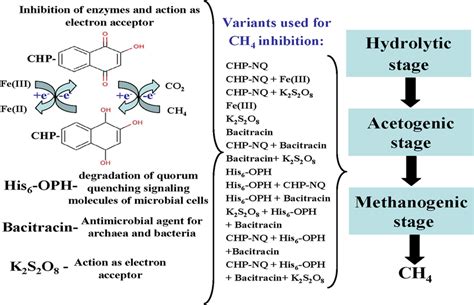 Scheme Of The Most Effective Combinations Used In This Study For The