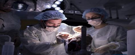Rhoton De Oliveira Microsurgical And Endoscopic Approaches For Skull
