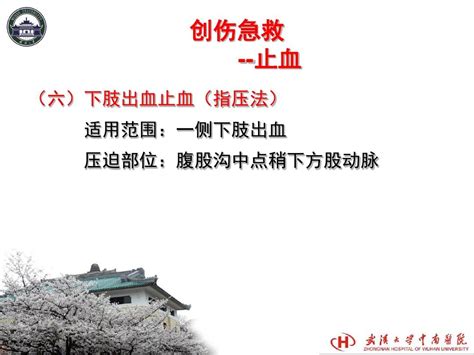 创伤、止血和包扎word文档在线阅读与下载无忧文档
