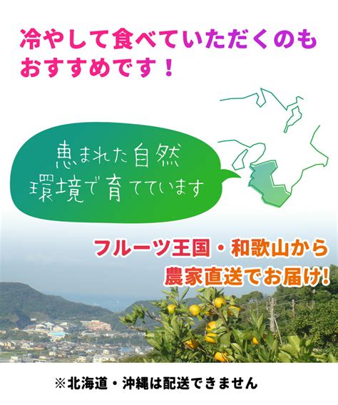 緊急値下げ！ わけあり ハウスみかん 3kg 【 送料無料 訳あり 家庭用 小玉 温州みかん 温室みかん 有田みかん ミカン 】 ハウス