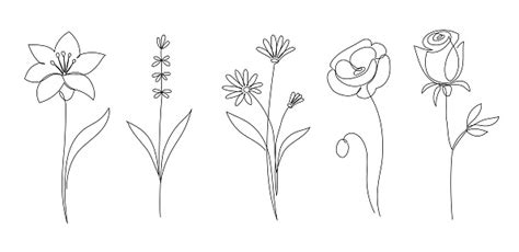 꽃은 연속 윤곽선 스타일을 설정합니다 장식 꽃 식물 꽃 요소 결혼식을 위한 꽃 한 줄 예술 봄 개념 배경 꽃 식물에 대한 스톡 벡터 아트 및 기타 이미지 Istock