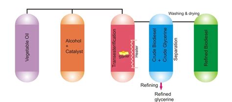 Schematic Representation Of Production Of Biodiesel Download