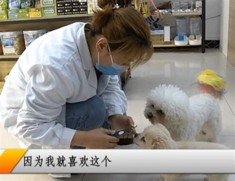 不能任性了！芜湖的爱犬人士请注意小蔡