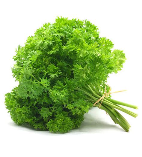 Deliver Addis Market English Parsley