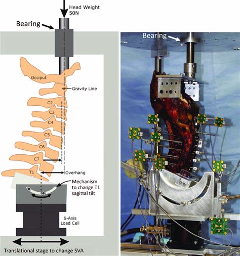test setup showing a schematic of the test apparatus left and