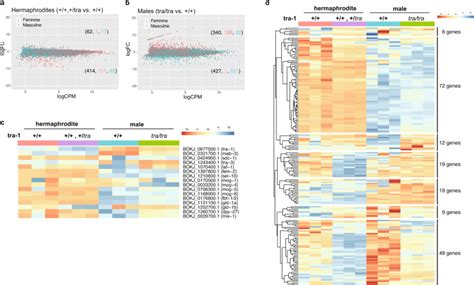 Possible Stochastic Sex Determination In Bursaphelenchus Nematodes Pmc