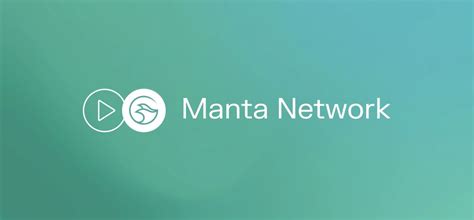 data driven research on crypto token terminal