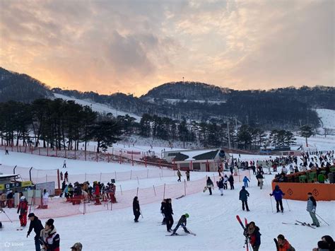 Korea Ski Tour From Seoul Klook