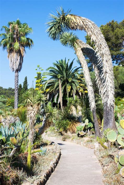 Jardin Botanique Pinya De Rosa Tourisme Blanes Viamichelin