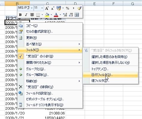 日付にフィルタをかける前年同月とか Excel ピボットテーブル haku1569 Excel でらくらく データ分析