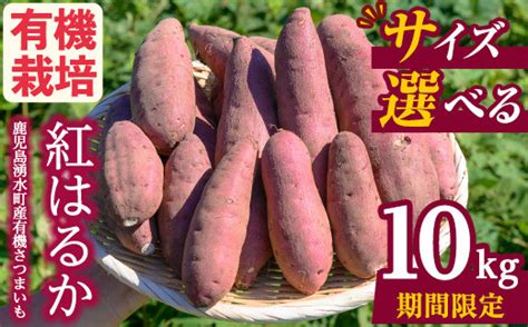 Y329 ≪サイズ選べる・期間数量限定≫湧水町産有機さつまいも「紅はるか」計10kg 国産 九州産 鹿児島産 有機栽培 サツマイモ 生芋