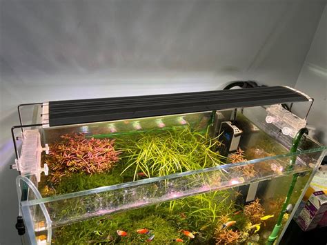 Povi全光譜led水草燈 （60cm調光燈盤 50w，混養缸專用 寵物用品 寵物家品及其他 Carousell