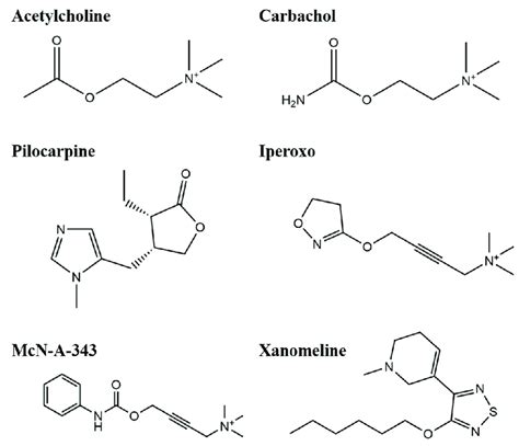 The 2d Chemical Structures Of The Six Agonists Download Scientific Diagram