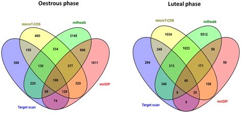 Results Of Mirnas Expression Profiling Analysis During The Estrous