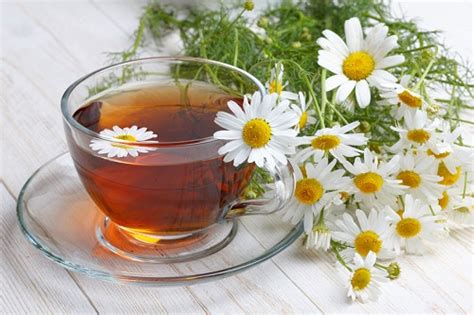 Remedios Caseros Para El Ardor De La Boca Del Est Mago