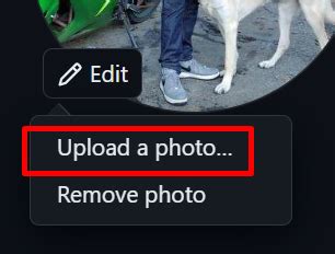 Customizing Your GitHub Github User Documentation