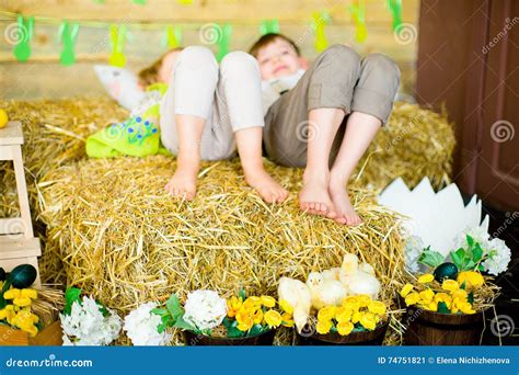 Мальчик с девушкой на сене с цыплятами Стоковое Изображение