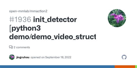 Initdetector Python3 Demodemovideostructuralizepy · Issue 1936