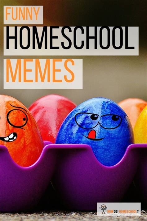 20 Funny Homeschool Memes To Make You Laugh Artofit