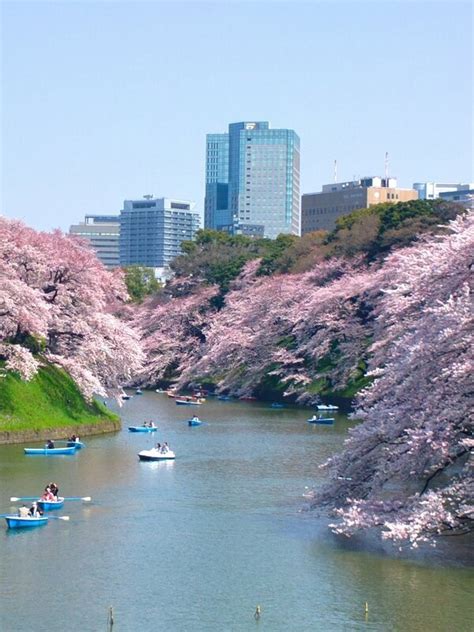 Visit Tokyo Your Complete Travel Guide Asia Highlights