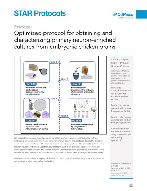 Pdf Optimized Protocol For Obtaining And Characterizing Primary