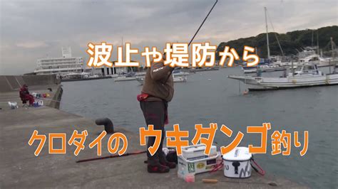 波止や堤防からクロダイのウキダンゴ釣り Youtube